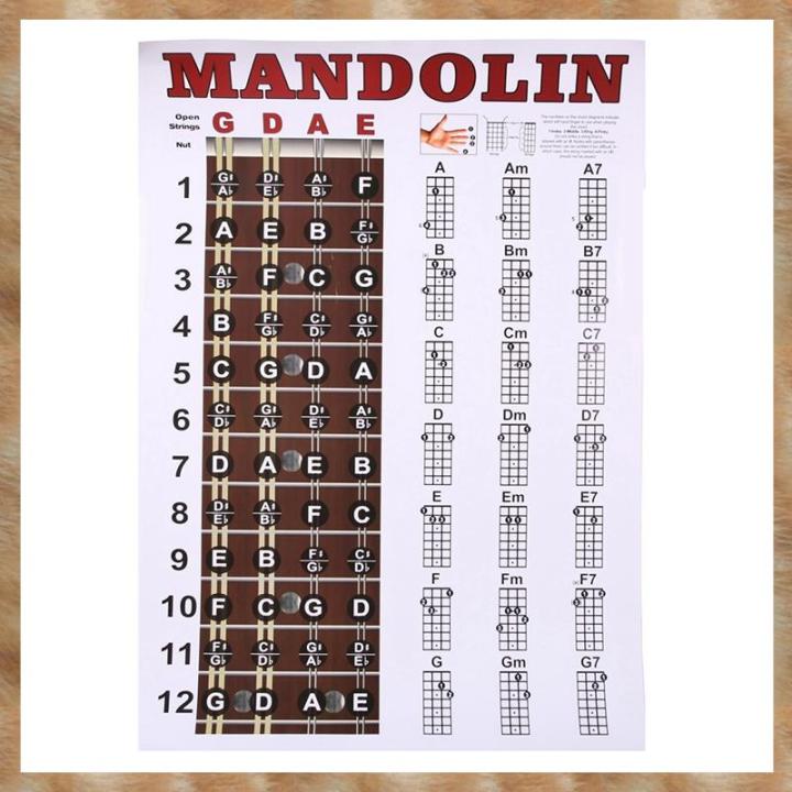 (EJVF) Mandolin Poster Chart Chord Musical Trainning Instrument Guide ...