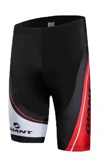 PRO COMBAT Bike Cycling With Pad Coolmax New Style #gi-ant | Lazada PH