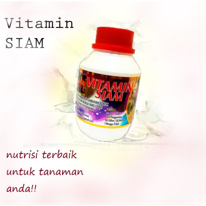 ♟BAJA VITAMIN SIAM | 350ML | Baja Viral Dari Thailand|♙ | Lazada