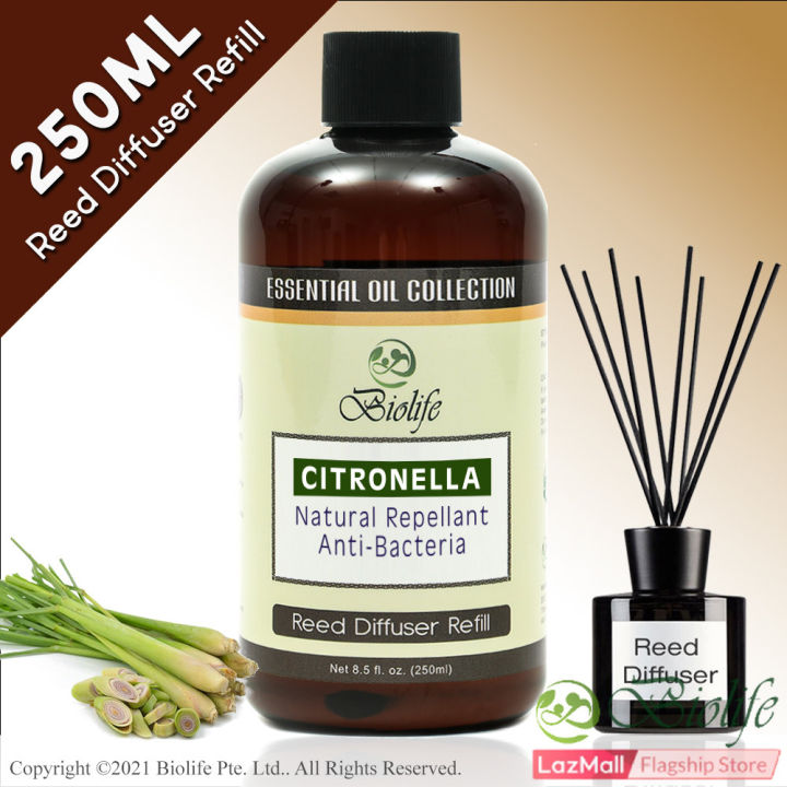 Biolife Citronella Essential Oil Aromatherapy Reed Diffuser Refill ...