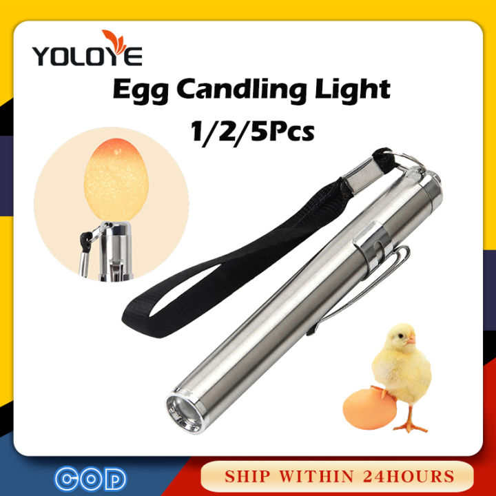 Egg Candling Light Pen Eggs Pin Light Bird Egg Flashlight for Automatic ...
