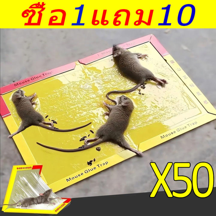 กาวดักหนู แน่นๆ ซื้อ1แถม10 กาวดักหนู ปลอดสารพิษและปลอดภัย กาวดักหนูุ ...