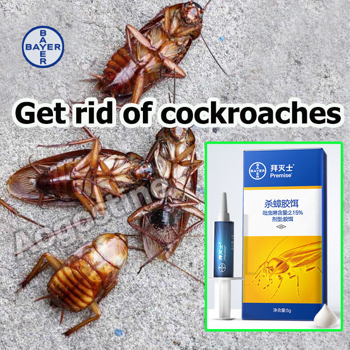 Bayer 100% effective cockroach killing bait roach killer Blattanex Cockroach Gel Cockroach ...