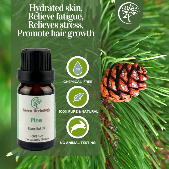 Pure Pine Essential Oil | Lazada