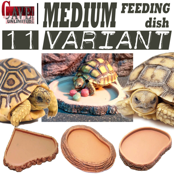 11 VARIAN FEEDING DISH FEEDINGDISH TEMPAT MAKAN MINUM REPTILE KURA ...