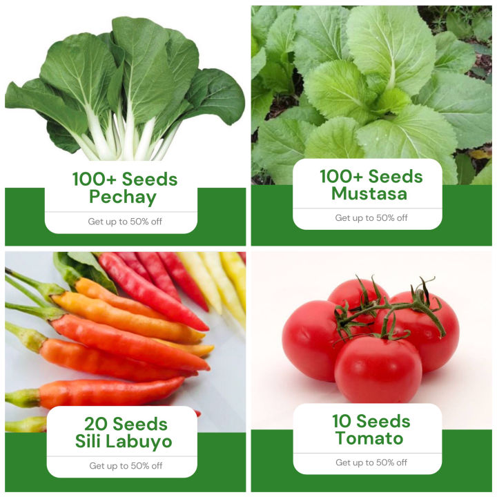 Binhi Sale 4 in 1 Pack Seeds (Pechay, Mustasa, Sili Labuyo, Kamatis ...