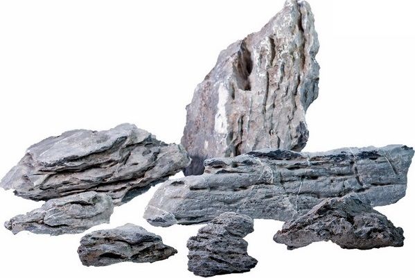 1kg Aquascaping Acid wash Seiryu Rock Stone | Lazada