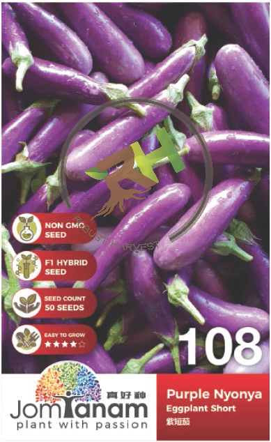 Jom Tanam JT108 Eggplant Short Purple Nyonya 紫短茄 (50 seeds) by Crop ...
