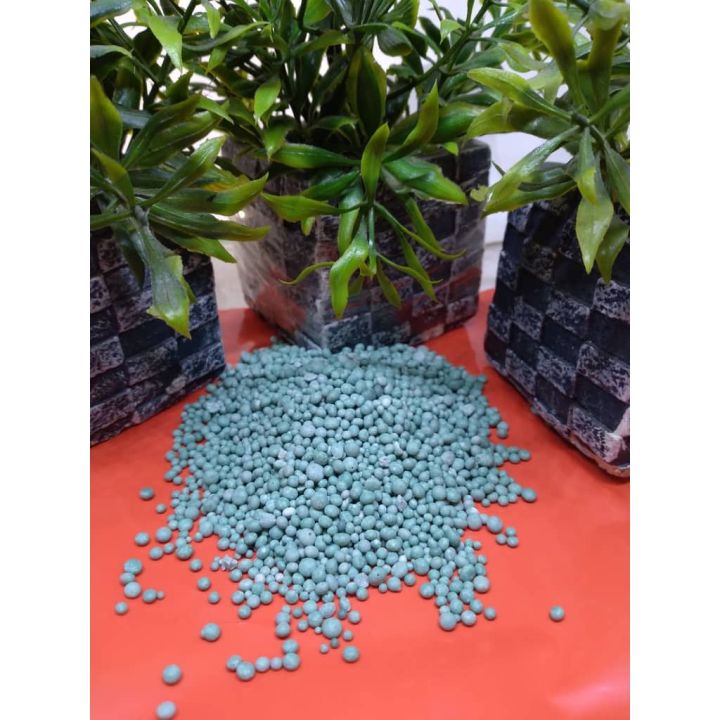 1 KG Winner Flowering Fertilizer | Lazada PH