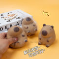 ของเล่นบีบ Capybara ฟื้นตัวช้า - สัตว์ดนตรีคลายความเครียด | Lazada.co.th