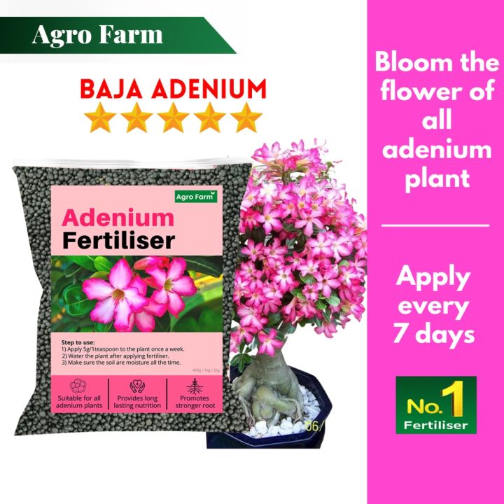 Agro Farm Adenium Fertilizer Baja Adenium Baja Kemboja Baja pokok ...