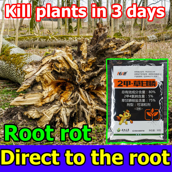 【3 seconds to remove big trees】 tree killer chemical Hexazinone root ...