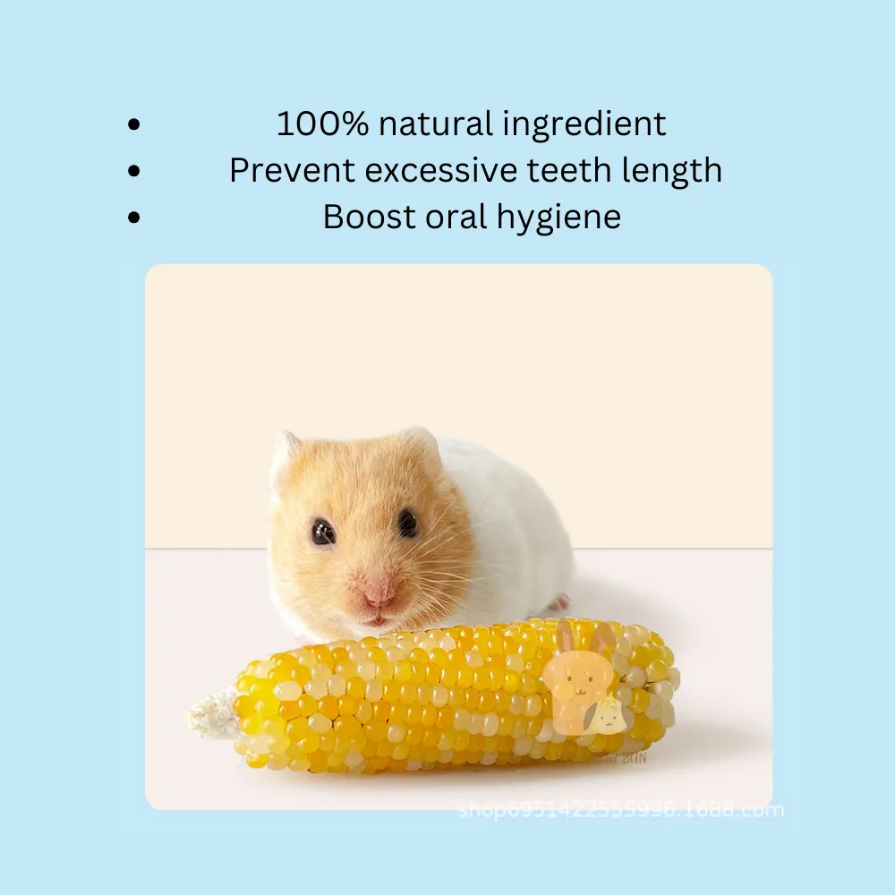 Hamster Mini Corn snack bite treat makanan | Lazada