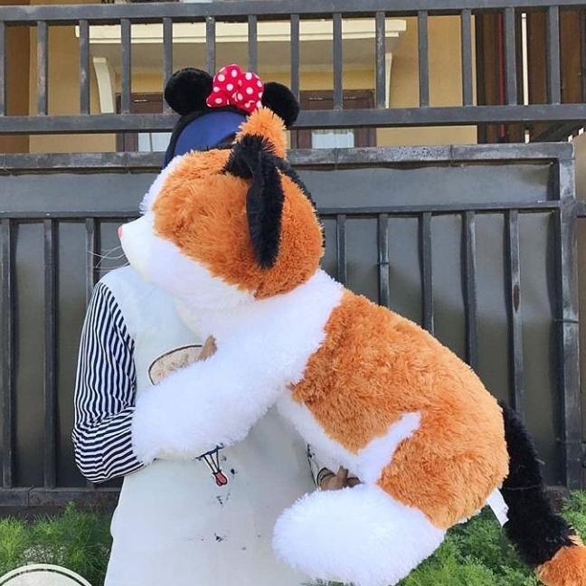 Boneka kucing jumbo size 60cm | Lazada Indonesia