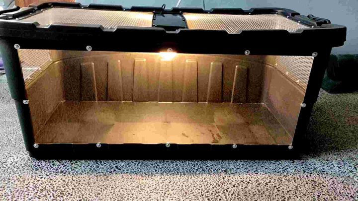 Quality Brooding Box, Brooding Cage For Chicks / Chicken / Bird - Pet ...