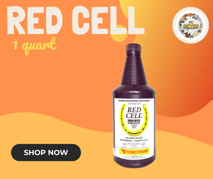 [FC REYES] Thunderbird Red Cell Iron Rich 1 Quartz Gamefowl Rooster ...