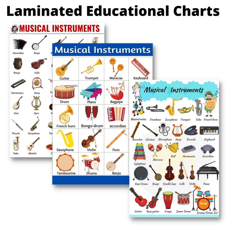 Laminated Musical Instruments Charts for Kids, Learners, Students and ...