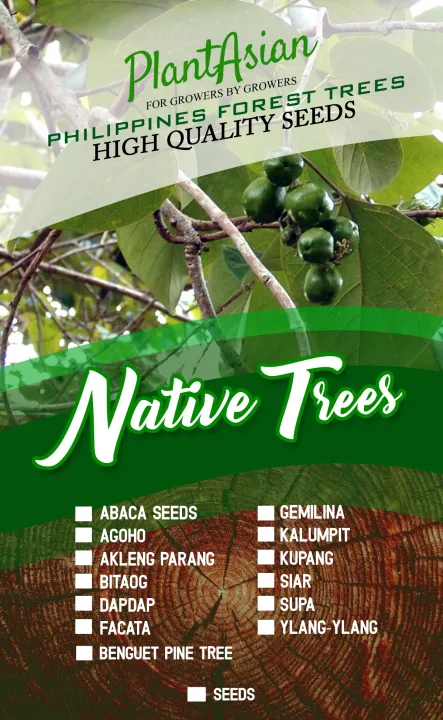 AGOHO TREE SEEDS 30 PCS | Lazada PH