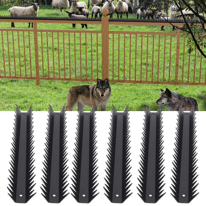 Fence Spikes Metal Animal Deterrent Anti Theft Wall Spikes Wall ...