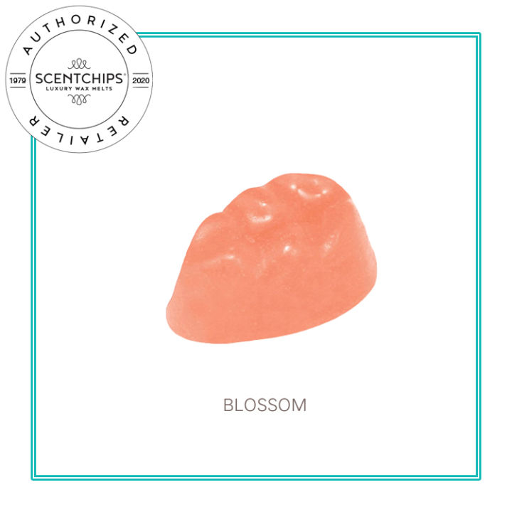 SCENTCHIPS Fragrance Chips 40 Grams (Scented Candle) | Lazada PH