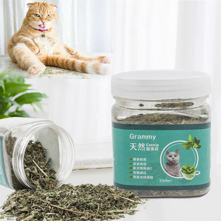 Westcoolpet 250ml Healthy Catnip Catmint Help Digestion Cat Kitten ...