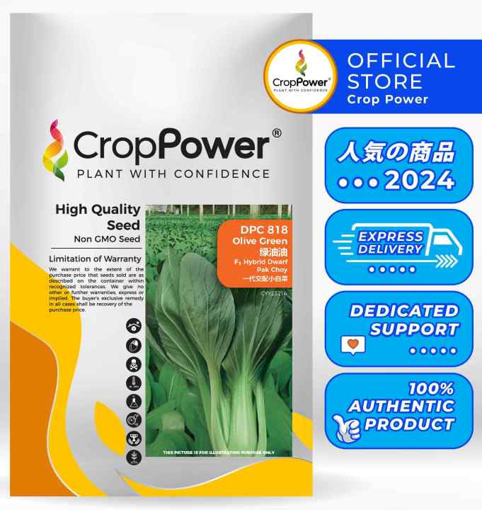 (50 GRAM) Biji Benih Sawi Jepun Olive Green 绿油油 DPC818 CROP POWER Pak ...
