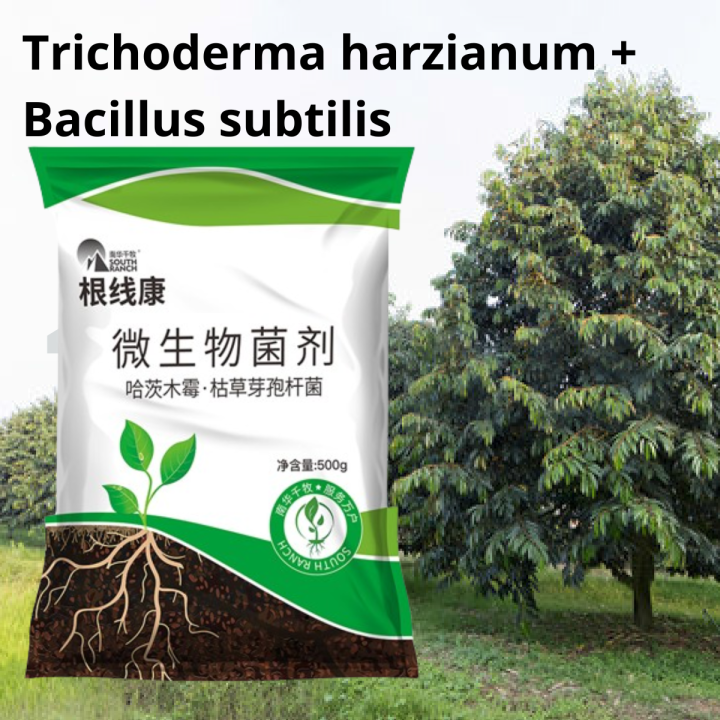 Trichoderma Harzianum Bacillus Subtilis 根线康枯草芽孢杆菌 哈茨木霉菌 复合微生物菌 Tricho Root Acti Trichoderma