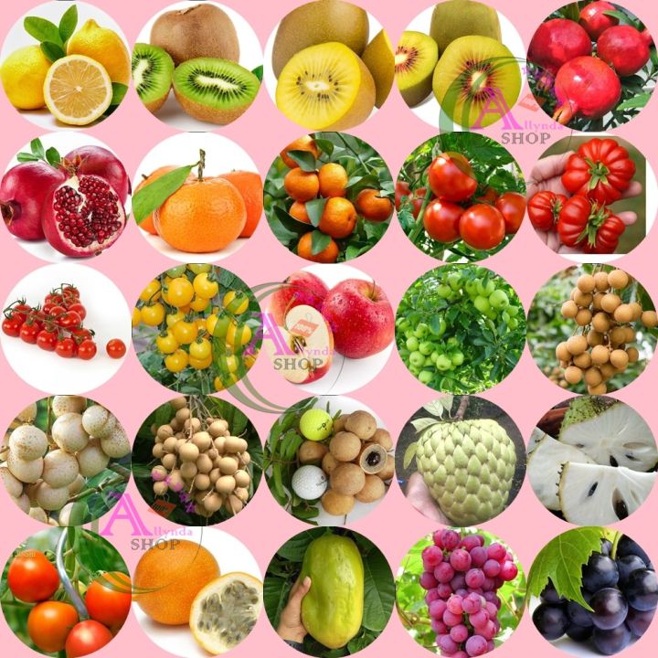 benih bibit biji tanaman buah dan sayur termurah paket hemat promo ... benih bibit biji tanaman buah dan sayur termurah paket hemat promo ...