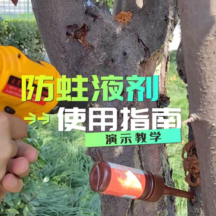 Guoguang tree mothproofing liquid agent aspergillus insecticide ...