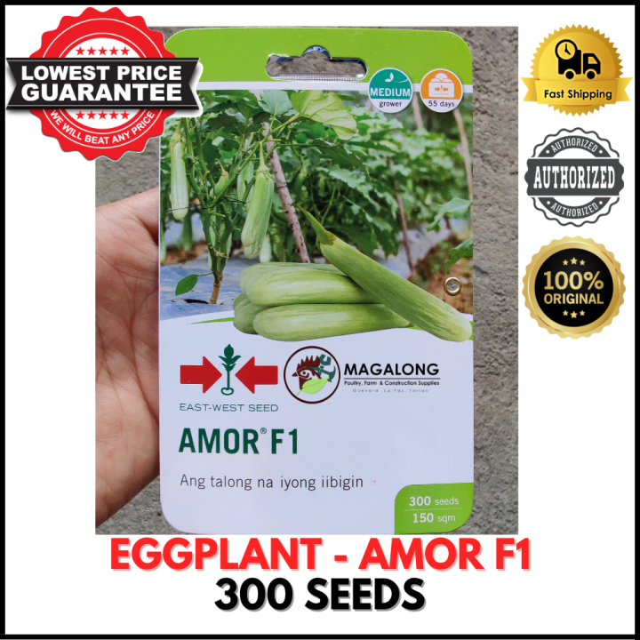 EAST-WEST SEEDS - EGGPLANT SEEDS - AMOR F1 HYBRID 300 Seeds | Lazada PH