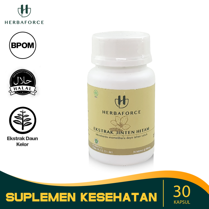 HERBAFORCE Ekstrak Jinten Hitam Obat Suplemen Herbal 30 / 60 Kapsul ...