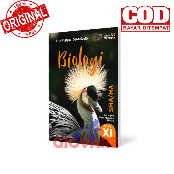 BUKU BIOLOGI KELAS 11 ERLANGGA KURIKULUM MERDEKA | BIOLOGI SMA/MA KLS.11/KM | Lazada Indonesia