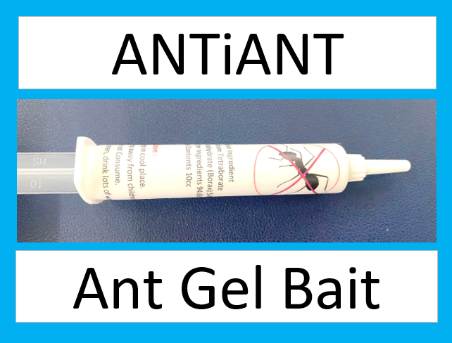 AntiAnt ant gel bait killer | Lazada Singapore