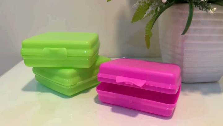 💥Special Offer💥💯Tupperware Neon Sandwich Keeper (1pc） | Lazada