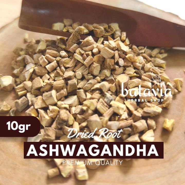 Ashwagandha Root Tea Teh Akar Ashwagandha Ginseng India Herbs Time ...