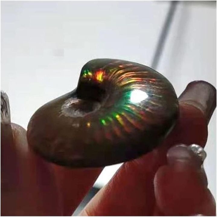 PEKMAR Crystal Madagascar asli Iridescent Ammonite Ammolite Facet ...