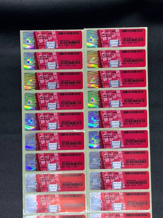 COA Key Windows 11 Pro OEM Original Lifetime Key | Lazada Indonesia