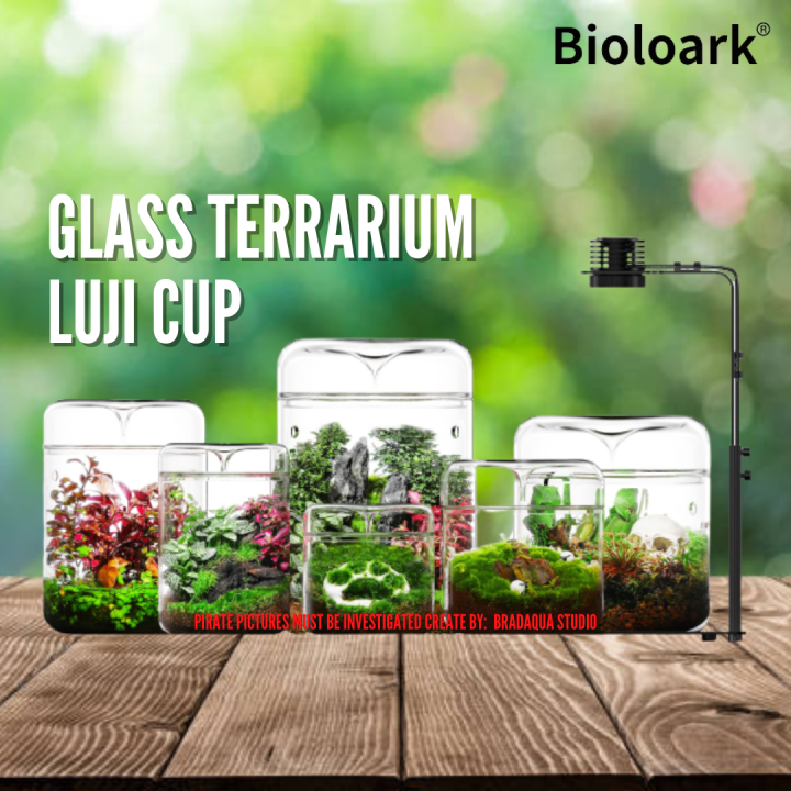 BIOLOARK Glass Terrarium Luji Cup | Lazada