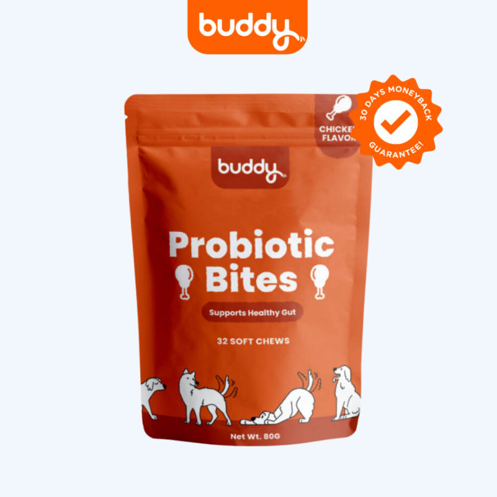 Buddy Probiotic Bites for Dogs Healthy Gut (32 Soft Chew Trial Pack ...