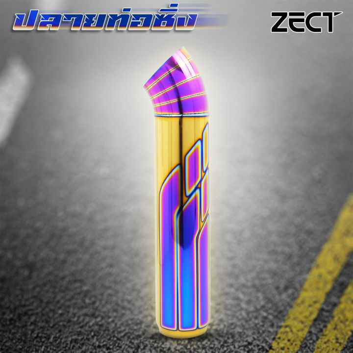 zect | 10 ปลายท่อ ปลายท่อสูตรลายแพทริค - Pink ปลายท่อแต่ง ปลายท่อกระบะ ...