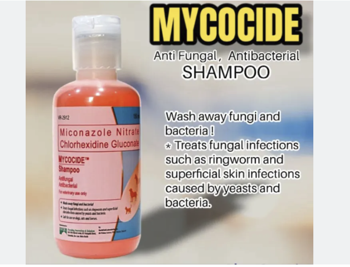 Mycocide Shampoo to Treat Fungi, Yeast, and Ringworm on Skins of Dogs ...