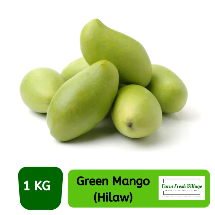 Nayong Kalikasan Green Mango (Mangang Hilaw) per one kilo | Lazada PH