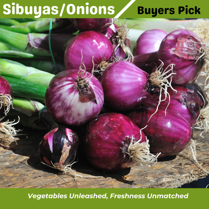 Local Native Red onion Bulb Sibuyas Medium to Big Size | Lazada PH