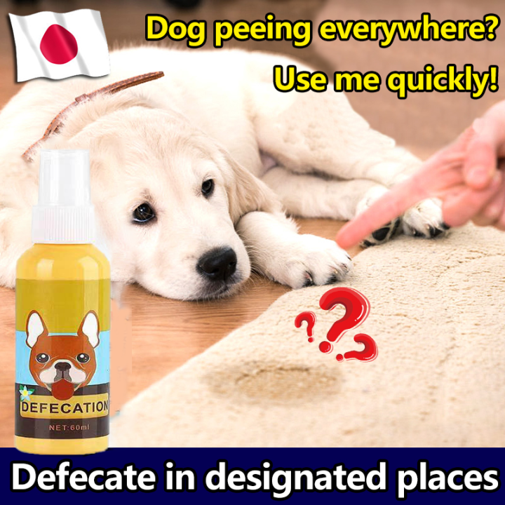success extremely high rate potty trainer for dogs non toxic and ...