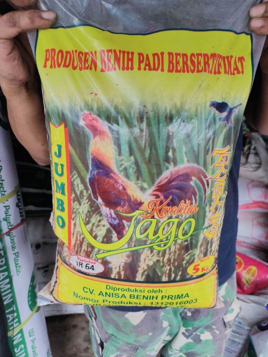 Benih Padi Ciherang Jumbo Bersertifikat Label Ungu Kemasan 5Kg | Lazada ...