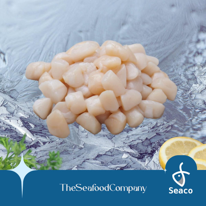 SEACO Bay Scallop | Lazada Singapore