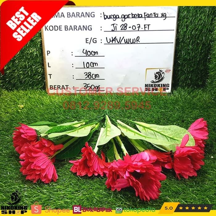 JI28-07.FT BUNGA GARBERA FANTA | Lazada Indonesia