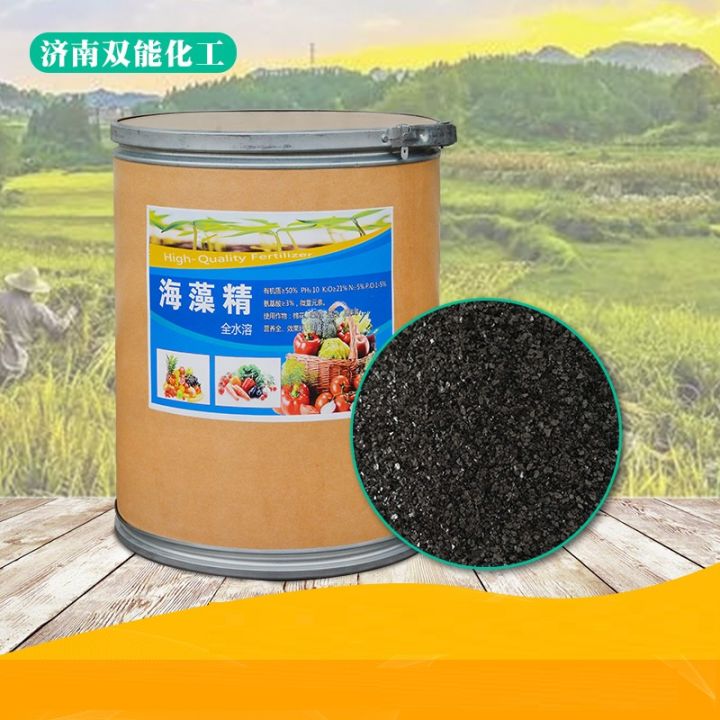 Seaweed Extract Fertilizer 1kg Repack Powder Organic 海藻精 浓缩海藻肥料 Alga ...
