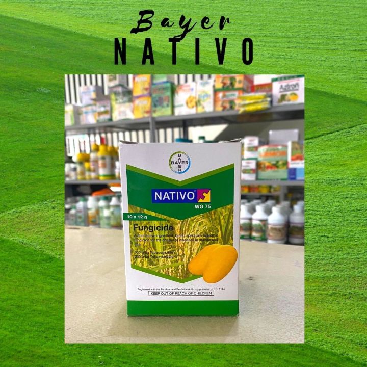 Bayer NATIVO WG 75 fungicide | Lazada PH