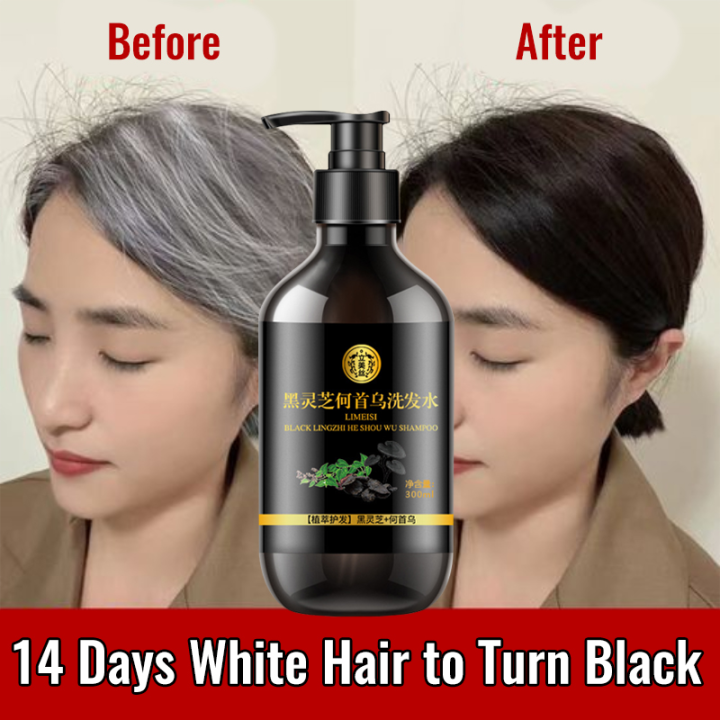 Polygonum multiflorum shampoo 300ML Shampoo white hair turns black hair ...